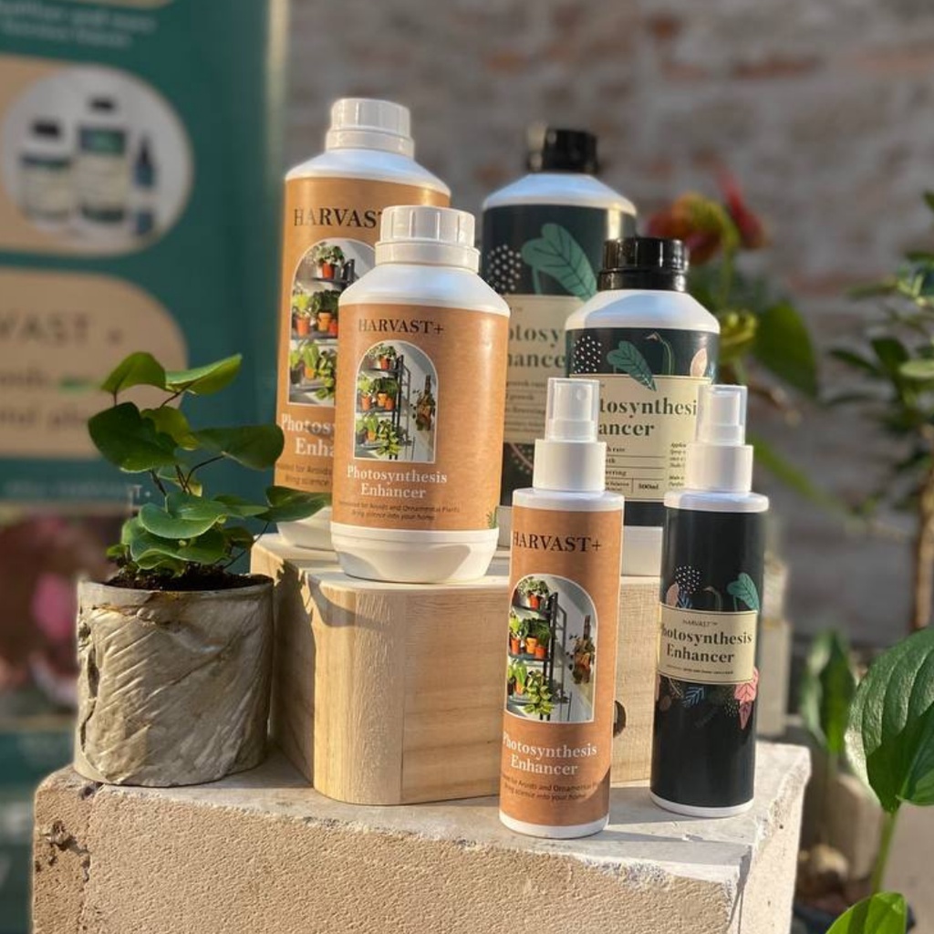Harvast Photosynthesis Enhancer | Shopee Malaysia