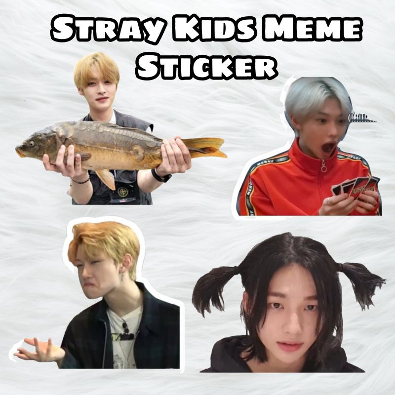 Stray Kids Funny Meme Sticker | Shopee Malaysia