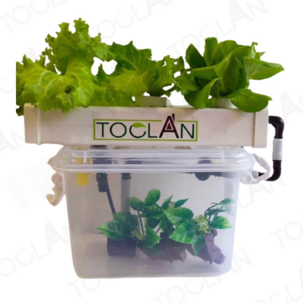 3 Pots NFT Aquaponic Set - Set NFT Akuaponik 3-Pot - Toclan RBT ...