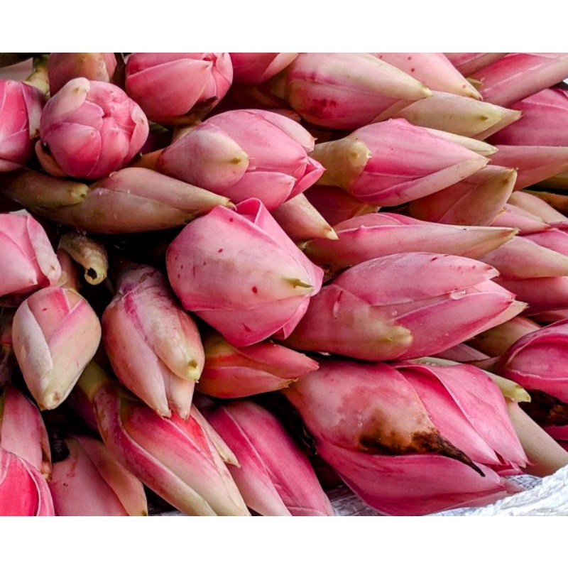 BUNGA KANTAN GRED A MERAH (chat seller dulu untuk pastikan stock ada ...