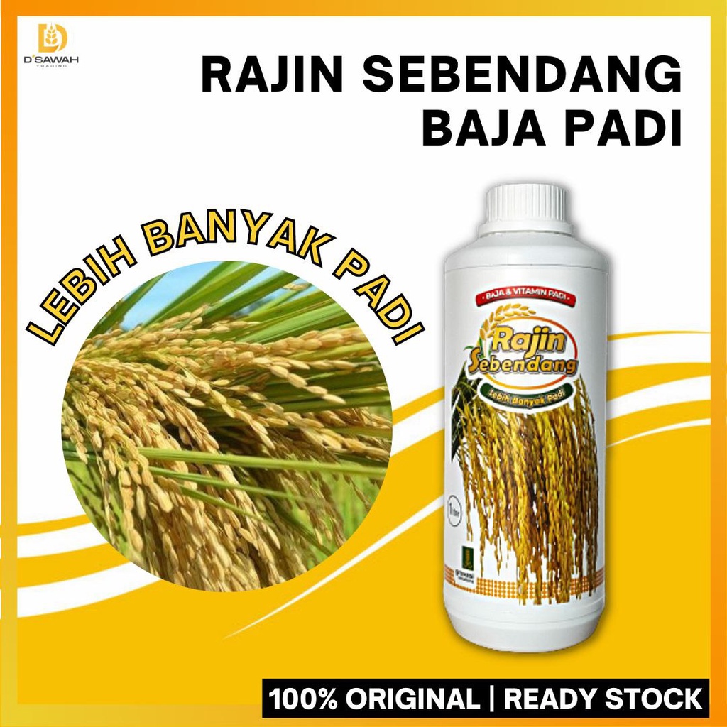 Baja Vitamin Padi RAJIN SEBENDANG 1 liter Kalium Silikat Baja berat ...