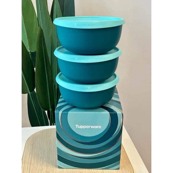 Tupperware: Pretty in Pink Blossom Bowl (1)/(3) 1.3L Pink/Turquoise ...