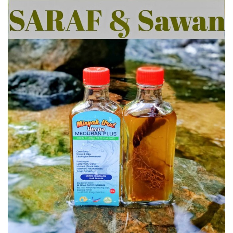 "Minyak Terapi Herba Meduran Plus" Terapi Saraf, Sawan, Stroke, Gout ...