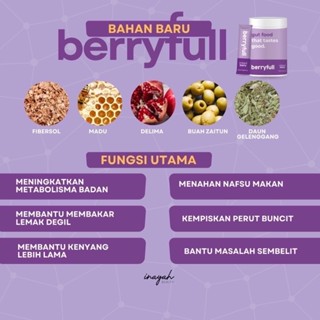 Original Berryfull by Inayahbeauty | gut food BERRY DETOX (berry ...