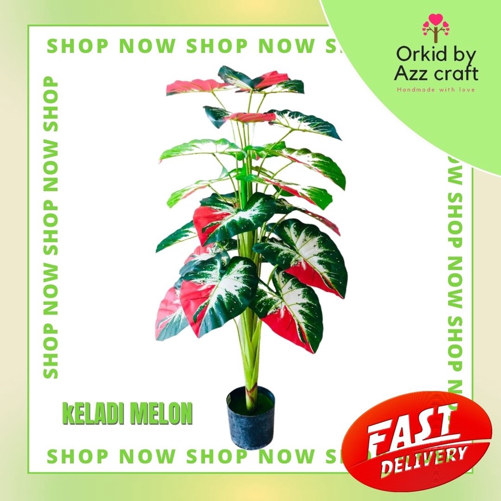 pokok keladi hiasan viral 120cm | Shopee Malaysia