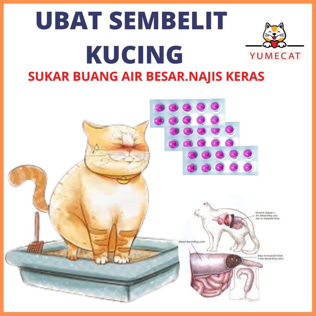 YUMECAT Ubat Sembelit Kucing Lawas berak untuk Kucing Constipation in ...