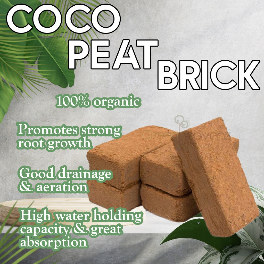 GHZ Compressed Block Brick Coco Peat 650g | Shopee Malaysia