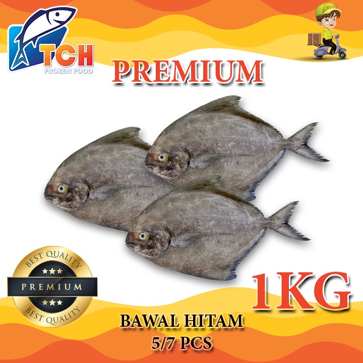 PREMIUM BAWAL HITAM, TCH FROZEN FOOD, FROZEN FRESH SEAFOOD, FILLET ...