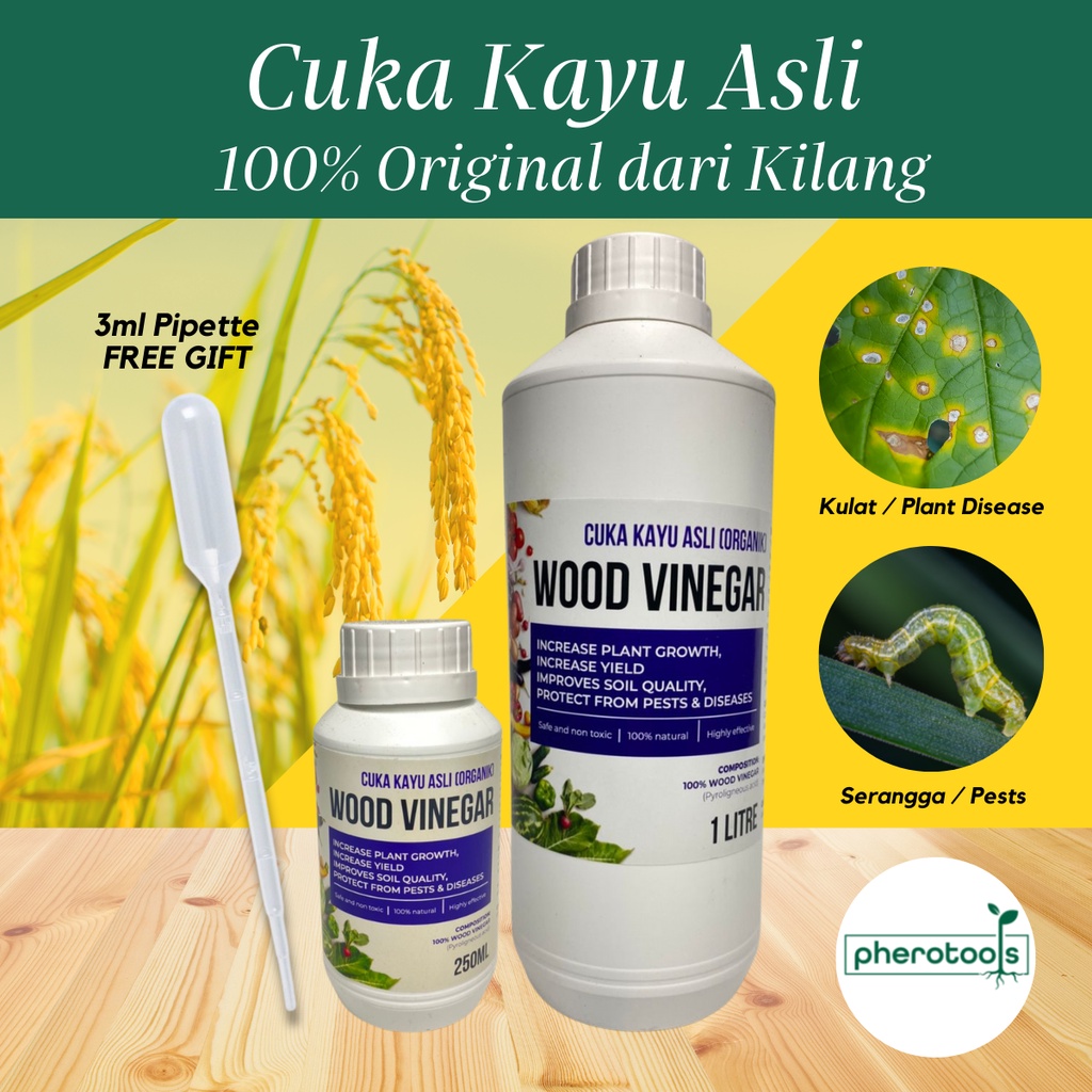 Pherotools CUKA KAYU ASLI (250m/1L) (tiada campuran) NATURAL WOOD ...