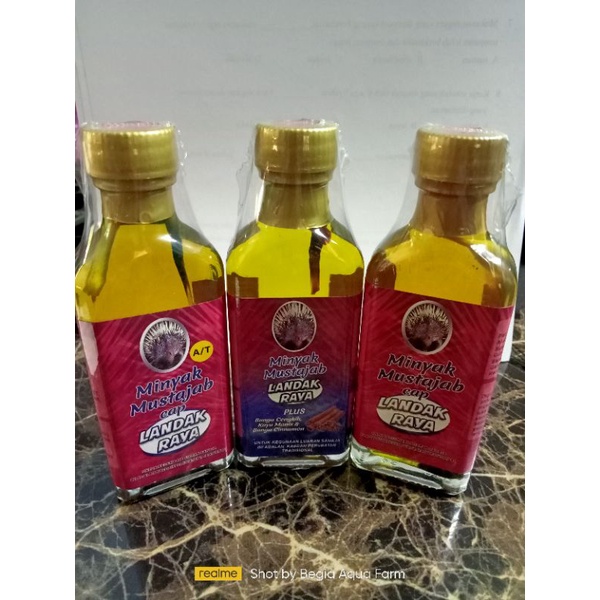 PREMIUM Minyak Landak Raya ORI 60ml/Original Porcupine Ointment 60ml ...