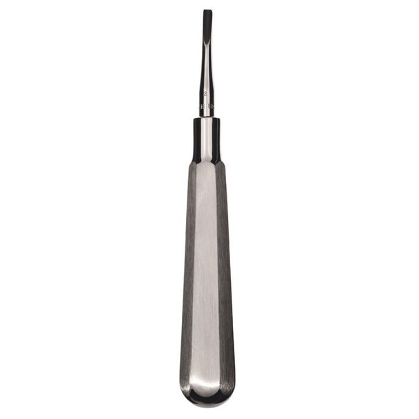 ELEVATOR COUPLAND DENTAL INSTRUMENTS | Shopee Malaysia