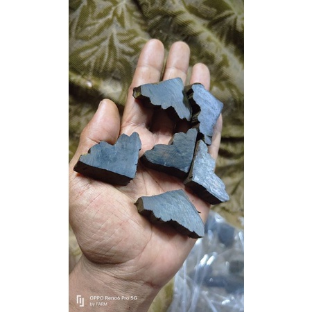 kemuning hitam penawar asli hitam berkilat ,gred AAA | Shopee Malaysia