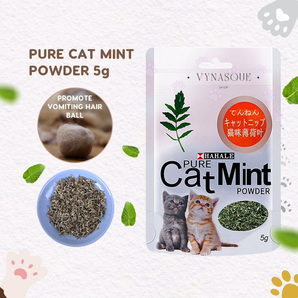 Pokok Galak Kucing | Pure Catmint Powder Organic Premium Catnip Cat ...