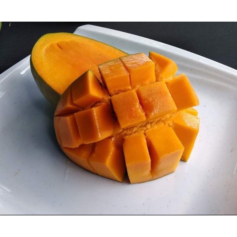 ANAK POKOK MANGGA HARUMANIS HYBRID | Shopee Malaysia