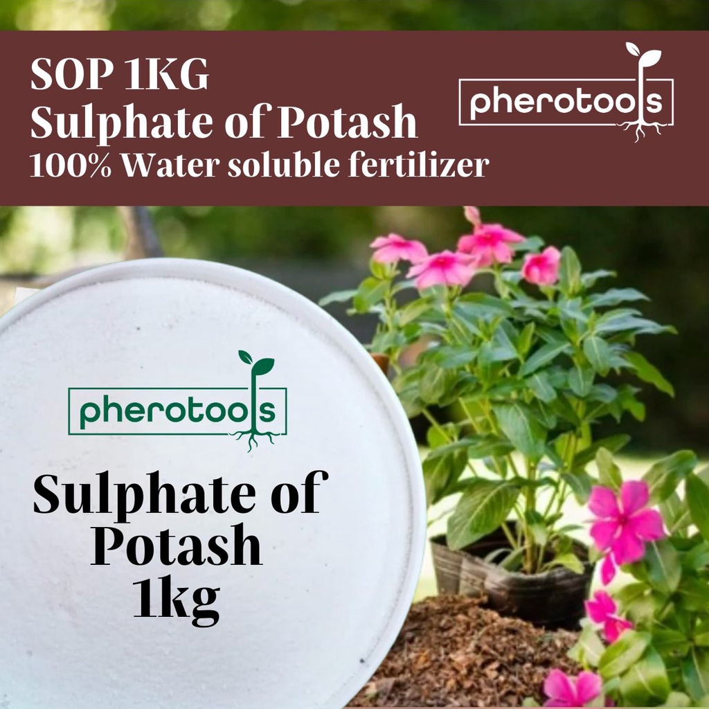 Pherotools (SOP 1KG) Potassium Sulfate Fertilizer/ Sulphate of Potash ...