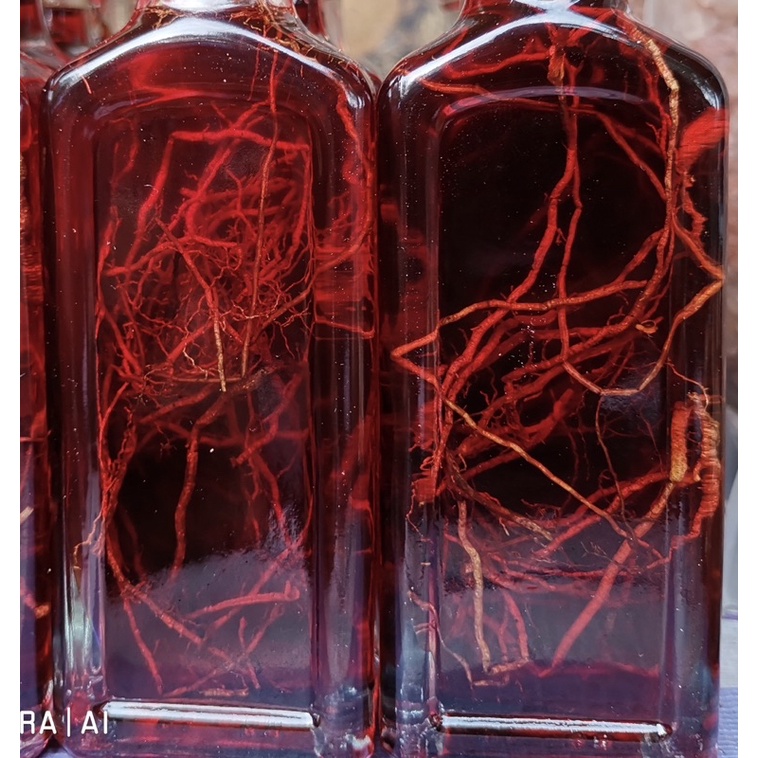 Minyak Panas 45herba(1 LITER) | Shopee Malaysia