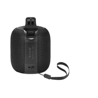 WSTER Ws-305 Portable Bluetooth Speaker Wireless Speaker Colourful ...