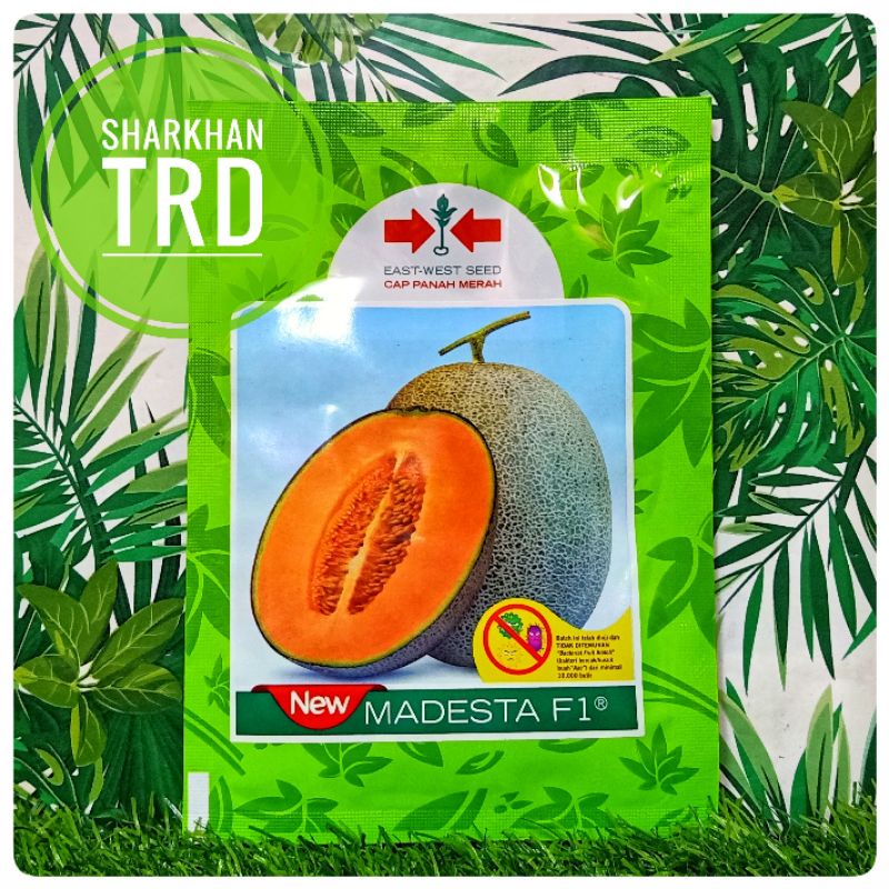 Paket 200 Seeds (10g) NEW MADESTA F1 Biji Benih Rock Melon F1 Hybrid ...
