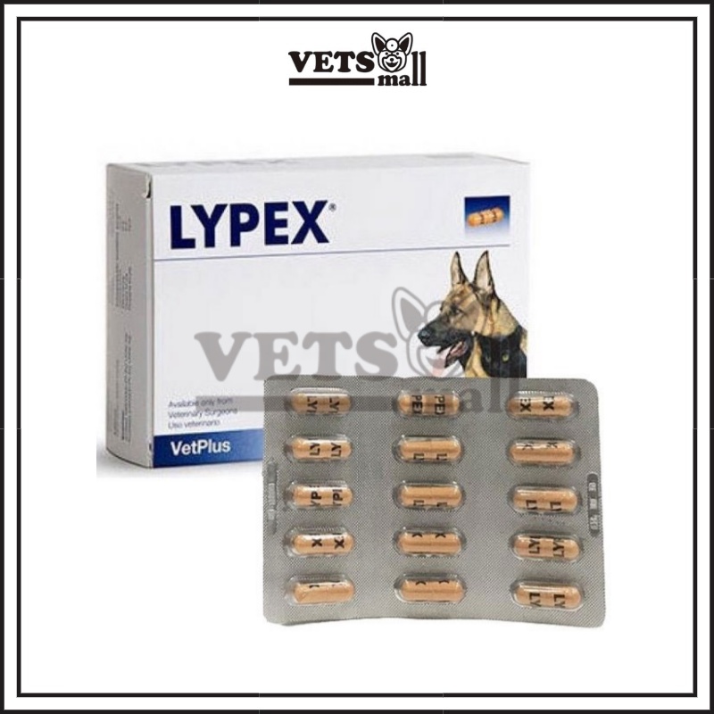 [VetPlus] LYPEX 60 Capsules for Dogs & Cats / Dog and cat intestinal ...