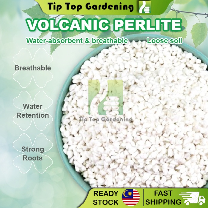60 Liter 3-6mm Volcanic Perlite Natural Expanded Perlite Cactus ...
