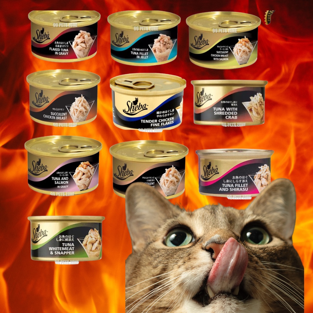 SHEBA Cat can Food 82g 82gm wet food kucing sheba | Shopee Malaysia