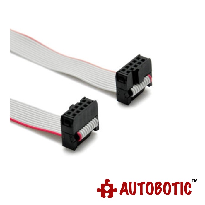 10-Pin 2x5 Female To Female Connecter Flat Ribbon IDC Cable - 20cm ...