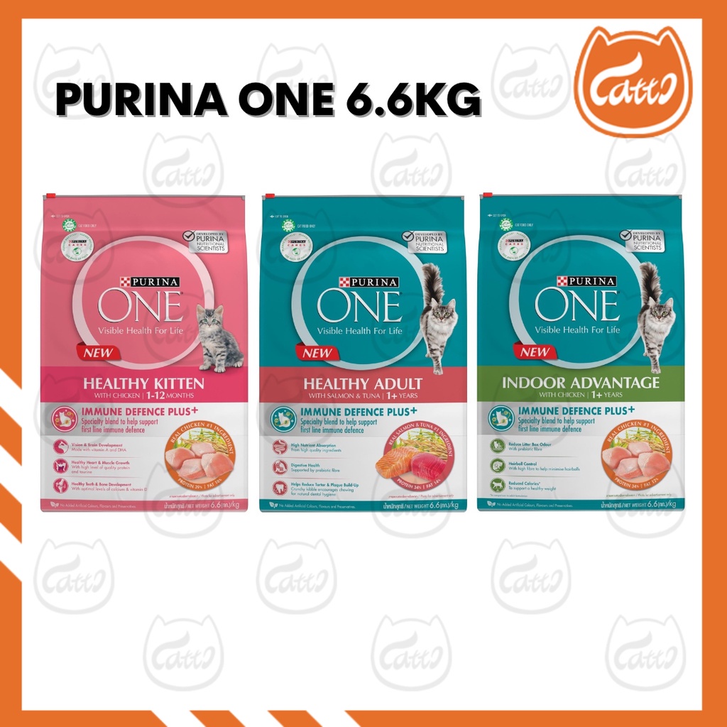 CATTO Purina One 6.6KG Dry Cat Food Makanan Kucing Dewasa Anak Kucing ...