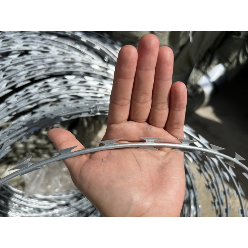 50m/10m Kawat Duri Askar / Penjara / Razor Jenis Lurus/Gulung | Shopee ...