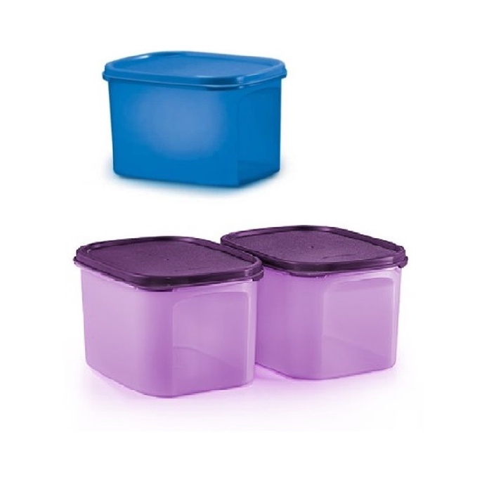 Tupperware Modular Mates Mini Rectangular - 850ml/ 1.9L | Shopee Malaysia