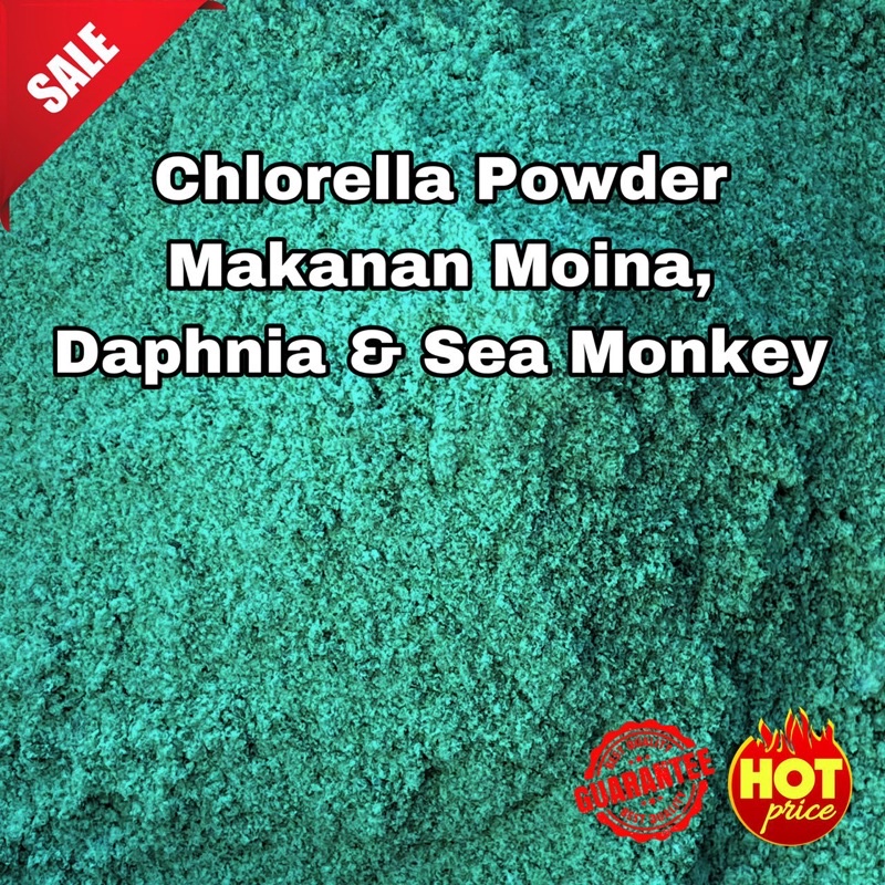[100-500 g] Serbuk Makanan Moina, Daphnia & SeaMonkey/Rotifer/Infosuria ...