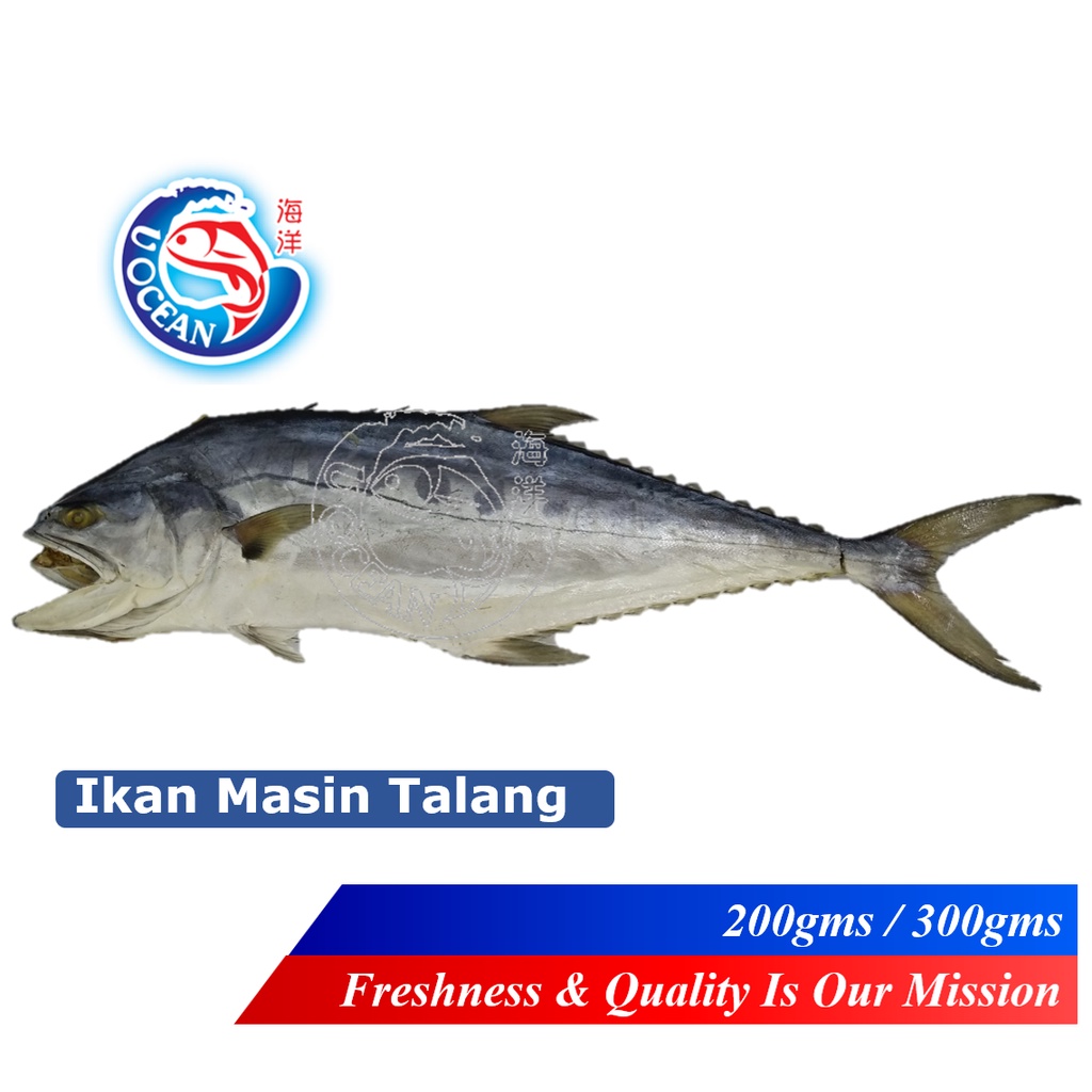 Ikan Masin Talang (200 gms/300 gms) | Shopee Malaysia