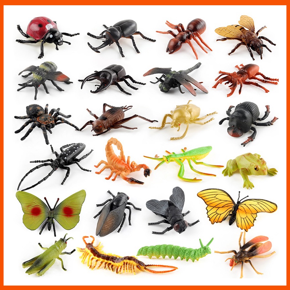 Big Size Insect Model Scorpion Mantis Spider Bee Dragonfly Caterpillar ...