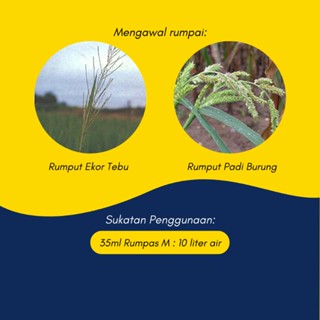 Rumpas M Racun Rumpai Padi Racun Padi Burung Racun Rumput Ekor Tebu ...