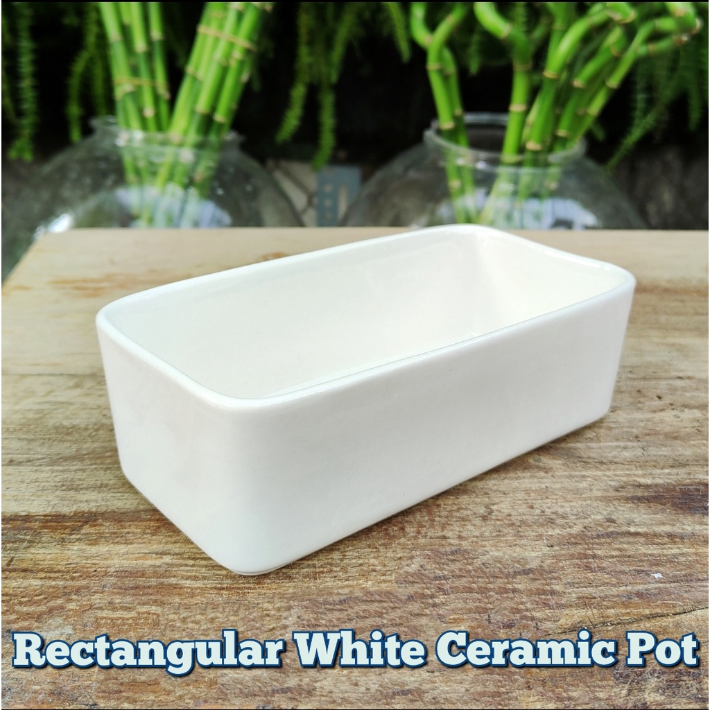 GPS Green Plant Society Rectangular White Ceramic Pot 长方形白色陶瓷花盆 ...