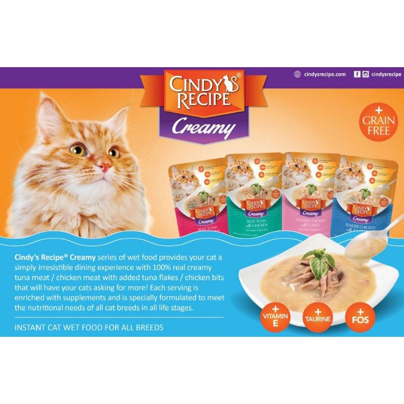 Cindy's Recipe Creamy Pouch 50g | Shopee Malaysia