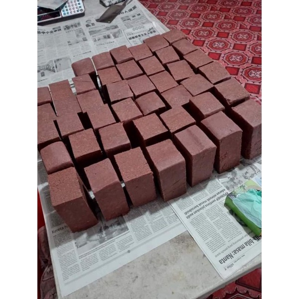 Belacan Sibuti dari Miri Sarawak 1kg | Shopee Malaysia