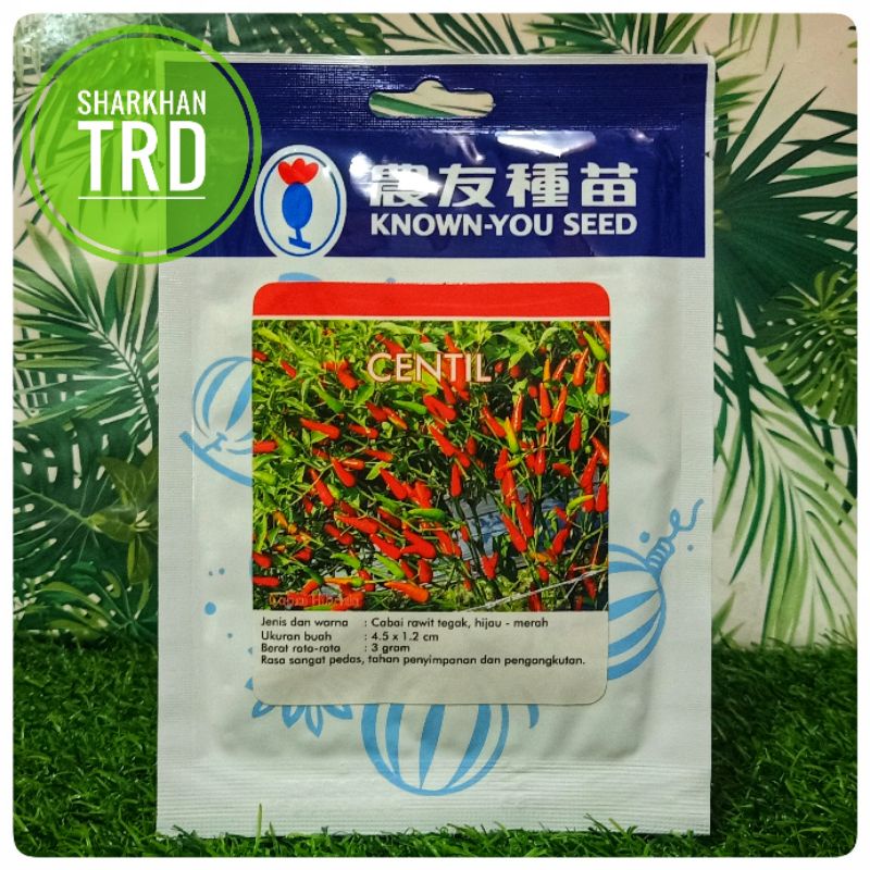 Paket Ori 100-3000 Biji CENTIL Known You Seed Biji Benih Cili Padi ...