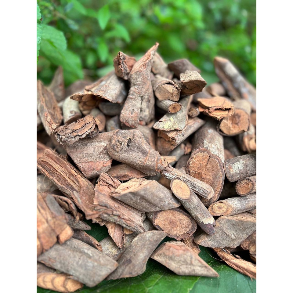 Herba Penawar Diabetes, Tebu Gajah | Shopee Malaysia