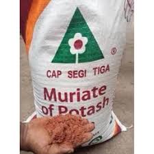 ( 5 kg ) POTASSIUM CHLORIDE BAJA BUNGA DAN BUAH (High K 60%) | Shopee ...