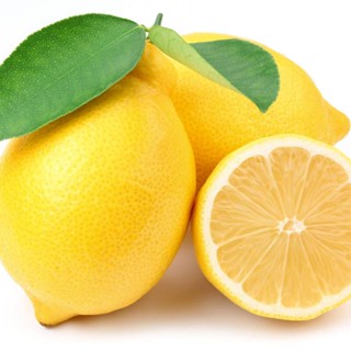 Lemon Tree Seeds for Planting 10 seeds/pack, Easy To Grow In Malaysia - Dwarf Lemon Tree Plant ...