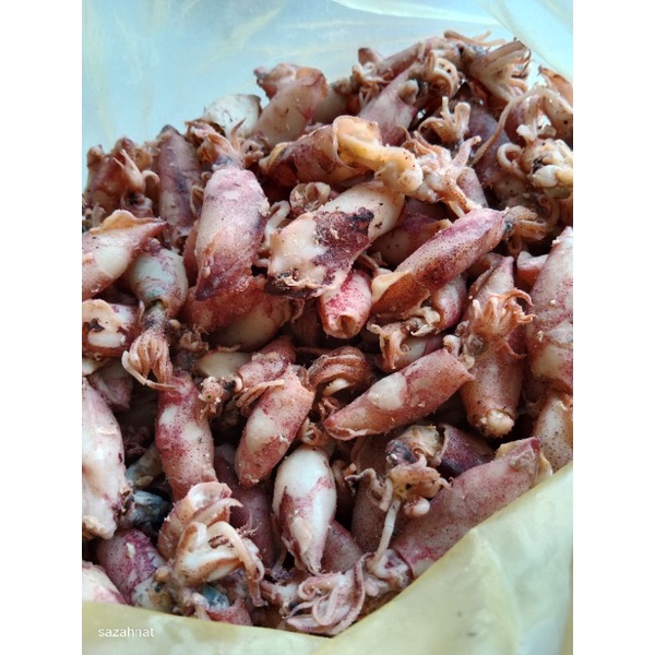 Sotong Cumi Lembut (250g) | Shopee Malaysia