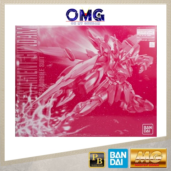 Pbandai MG 1/100 Testament Gundam 60920 MG Testament Premium Bandai ...