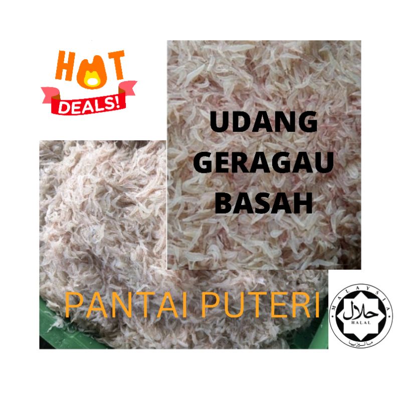 UDANG GERAGAU SEGAR BASAH 1KG UDANG BARING PANTAI PUTERI MELAKA 100% ...