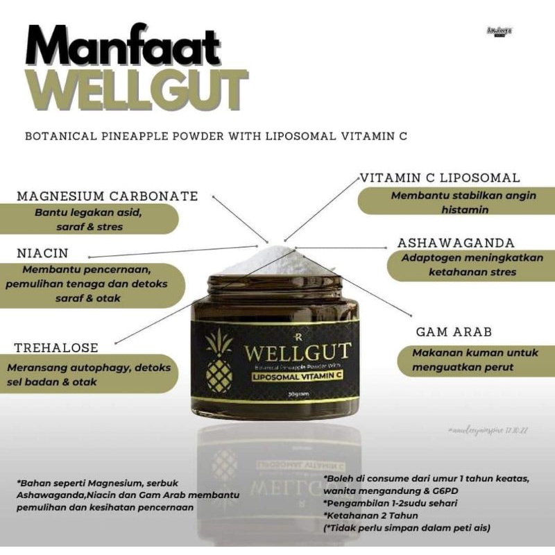 WELLGUT LIPASOMAL Dr.Hafiz vitamin C 30gm | Shopee Malaysia