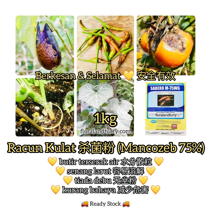 Sabero M75 WG Serbuk Racun Kulat Mancozeb 75% Antraknos Hawar Bintik ...