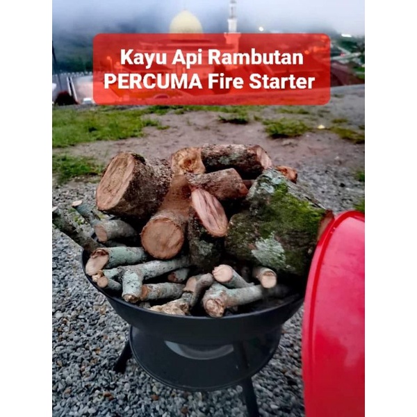 Kayu Api Pokok Rambutan - PERCUMA starter | Shopee Malaysia