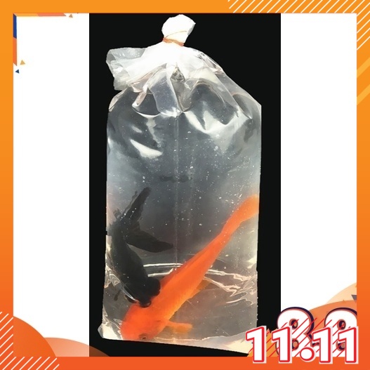 Borong Transparent Clear Plastic Bags Ikan heavy duty plastik beg ...