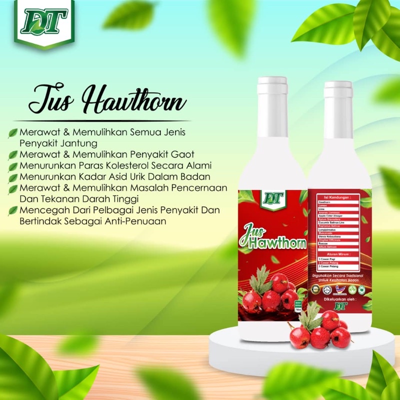 MERAWAT SAKIT JANTUNG | GOUT | KOLESTROL | ASID URIK | DARAH TINGGI ...
