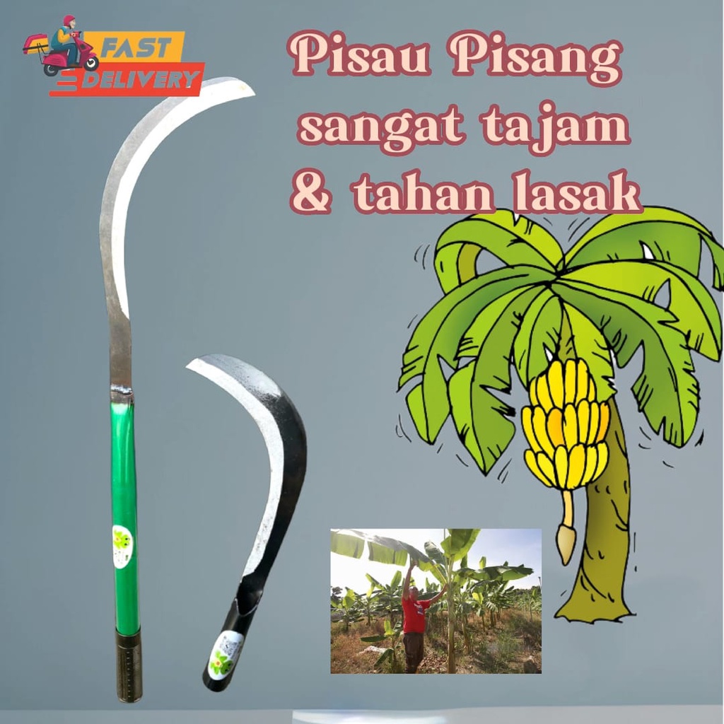 Pisau Pisang (Hulu Besi)/ Premium Qualiti/Sangat tajam/FAST DELIVERY ...