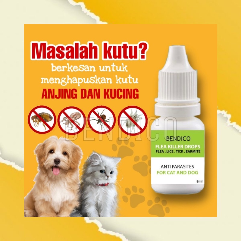 FLEA KILLER DROPS kutu kucing kutu anjing flea lice tick earmite kucing ...